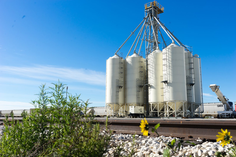 Mission Rail Park - Gallery